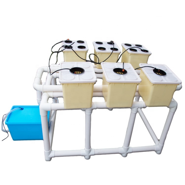 Dutch Bucket Set - Katalystme