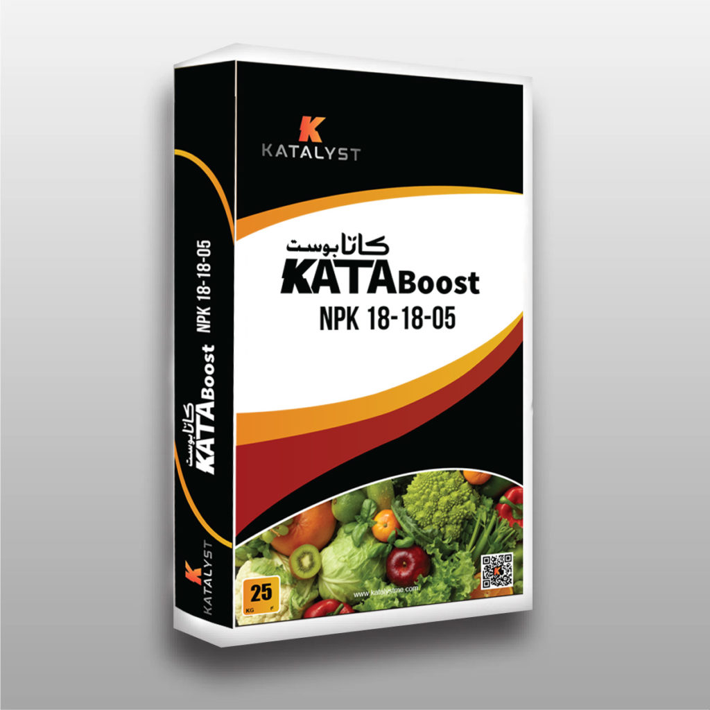 B-KATABOOST - Katalystme